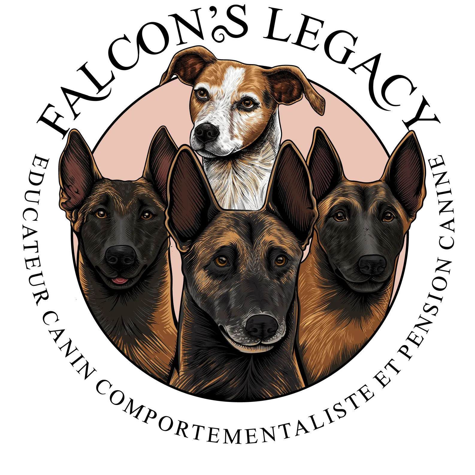 À propos de Falcon's legacy